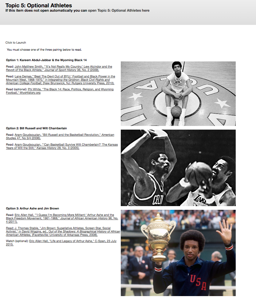 Choosing Your Own Adventure: Teaching Sport History Online | Sport in ...